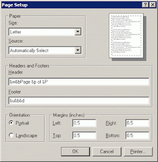 change internet explorer page setup programmatically with C#